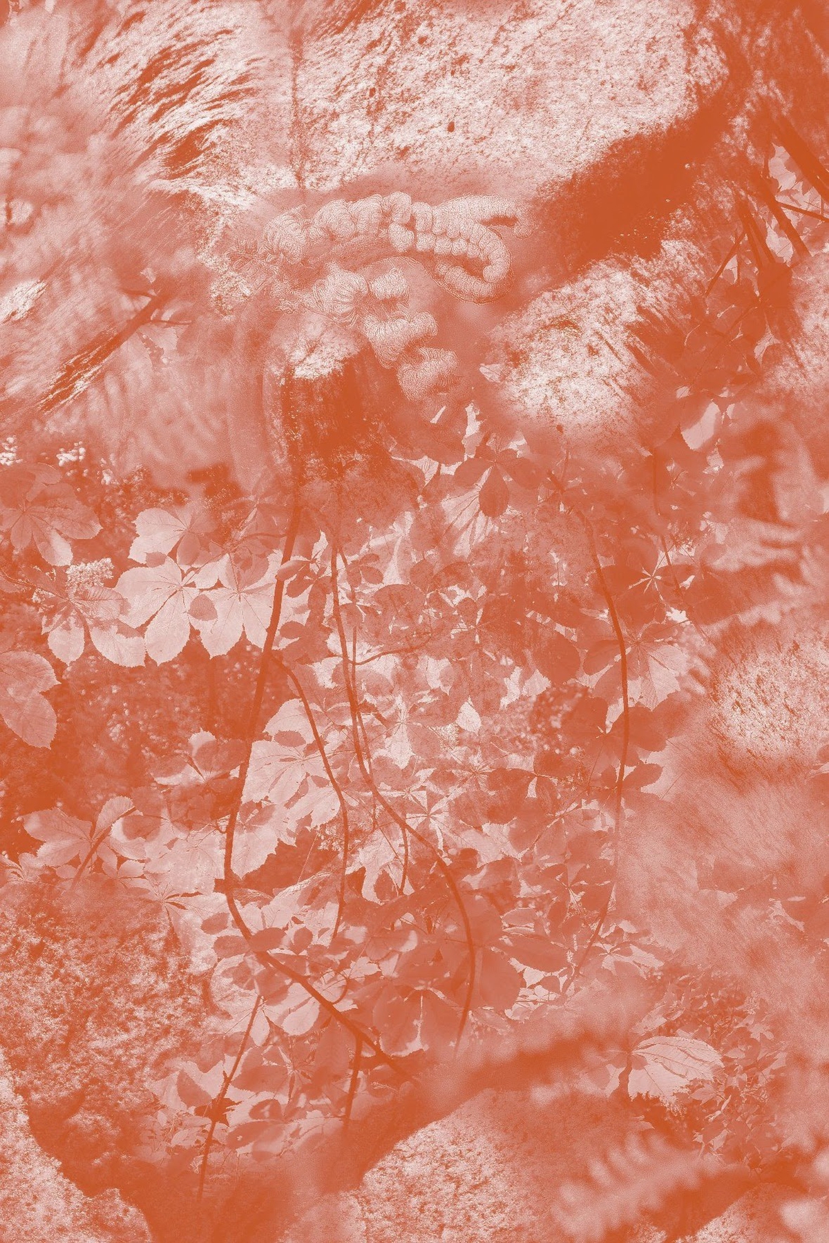 The Zombie Function – Highpass